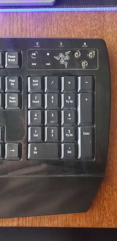 Клавиатуры: Logitech, Razer Arctosa, Hewlett-Packard HP, K-Snake +мыши