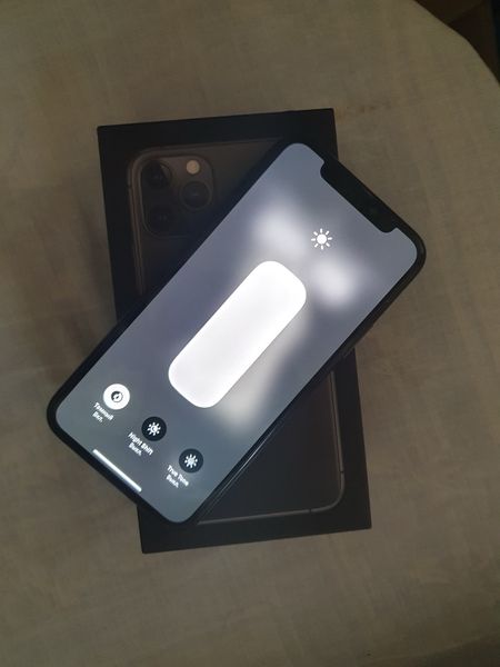 iPhone 11 pro 256 gb 79%