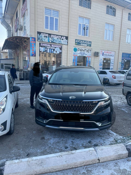 Киа карнивал. Фул позиция.