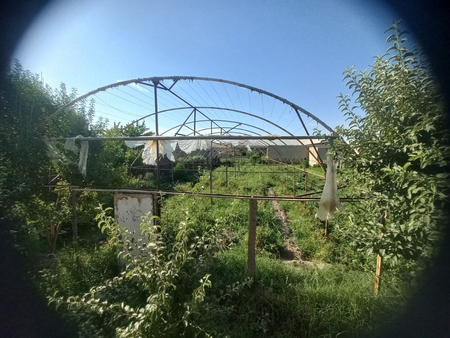 2.5 сотх Парник сотилали