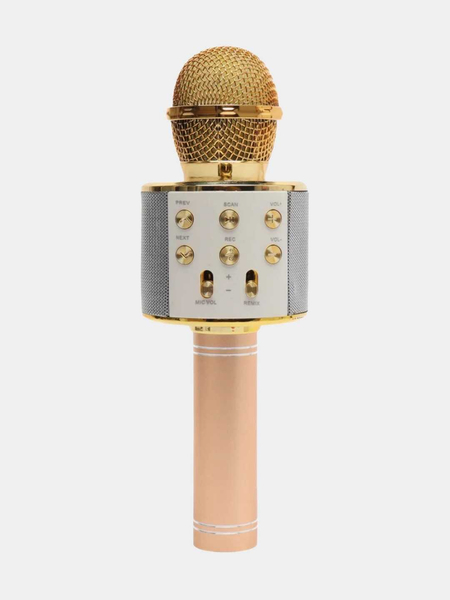 Микрофон беспроводной Bluetooth WS 858