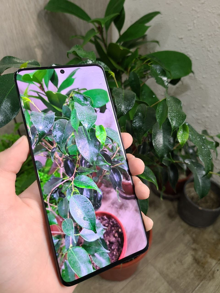 Samsung S21PLUS 5G