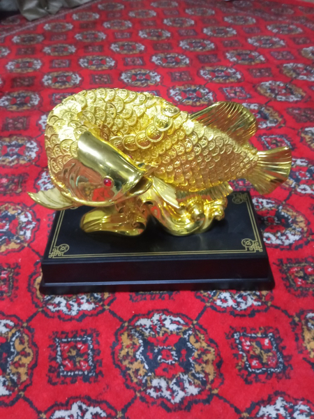 Suvinir baliq sotiladi