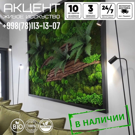 Озеленение из стабилизированных растений от компании Акцент