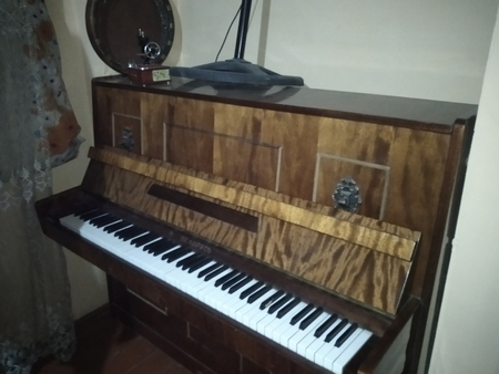 Pionina. Piyanina