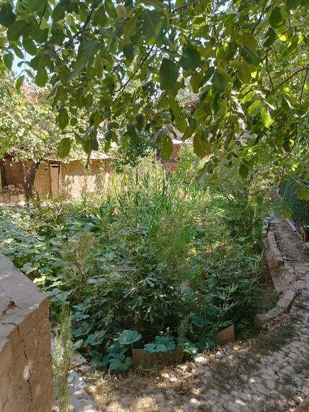 Hovli sotiladi/Продается участок