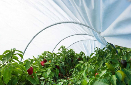 Agrovolokno optom narh. 30,42,60gramliklari