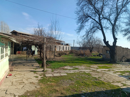 Noturar ferma 30 sotix yangiyul tumani Mihayolvkada 200 ta mol ketadi