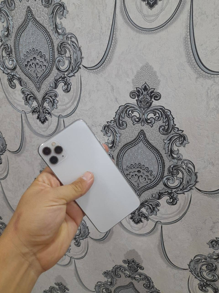 iphone 11pro maks