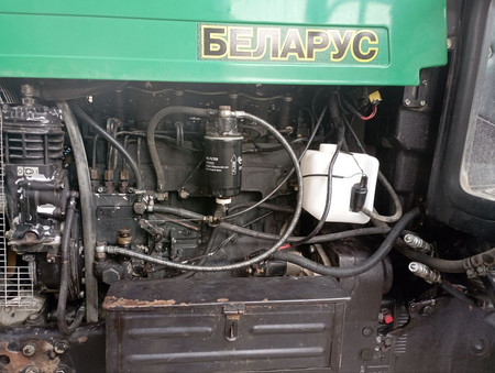 Belarus 80X 2019