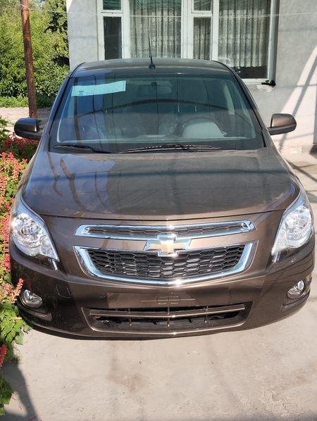 Cobalt LTZ stayl Zeus 2024