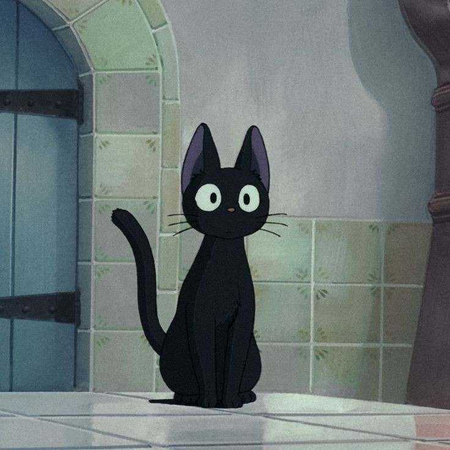 Mushuk / Mushukcha  / Котёнок / кот