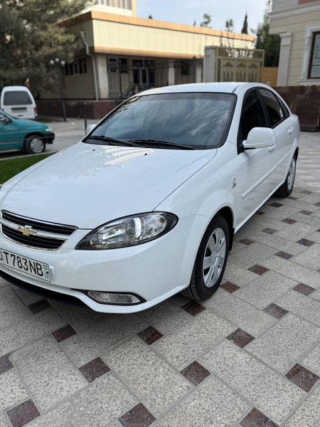 Jentra 2019 MX kraska tozza