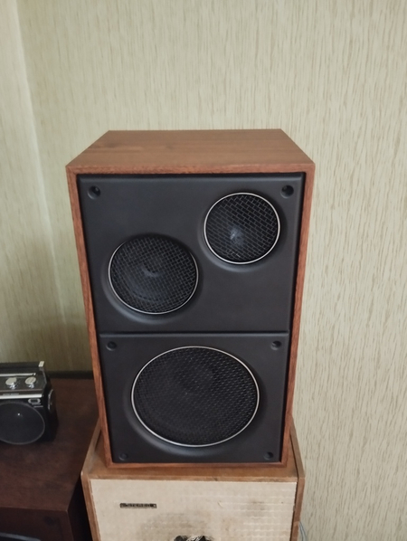Колонки 25ас 326
