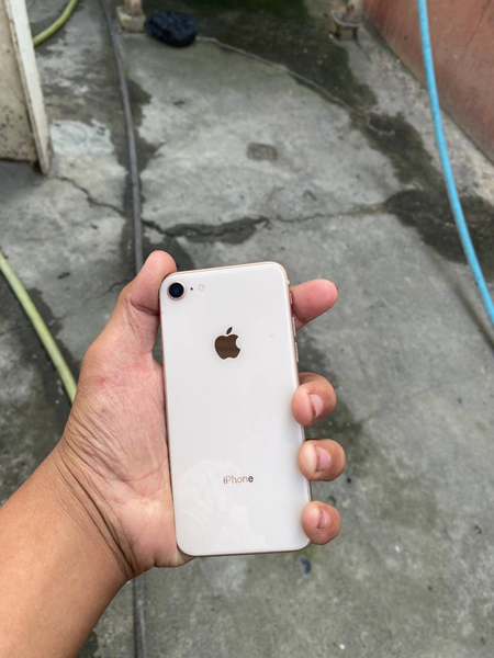 Iphone 8 Gold 64gb true ton bor