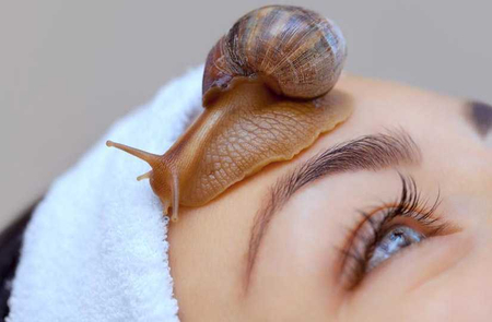 улитка для лица лечебный