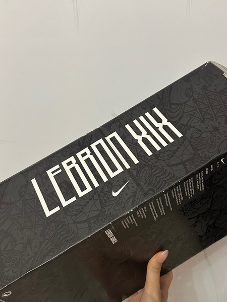 Кроссовки LeBron 19 Low sneakers