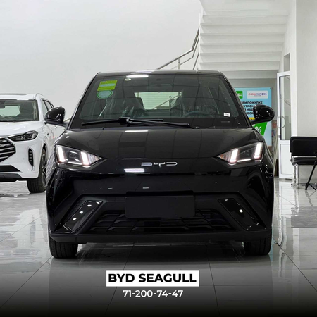 BYD ELECTROMOBILLARGA programma va prilojeniya yozamiz
