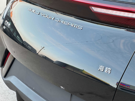 BYD Seagull Full 2024 Tayyor 405km Fly 3P счёт справка ва кредит бор!!
