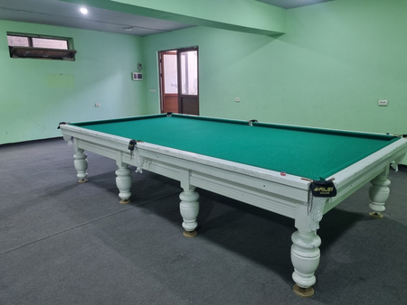 Riley billiard 2 dona rangi oq