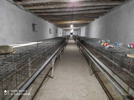 Parranda qafaslari (zanglamas metall)