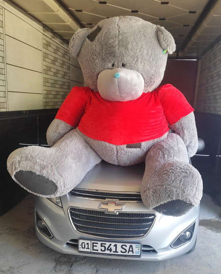 Teddy va boshqa yumshoq oʻyinchoqlar