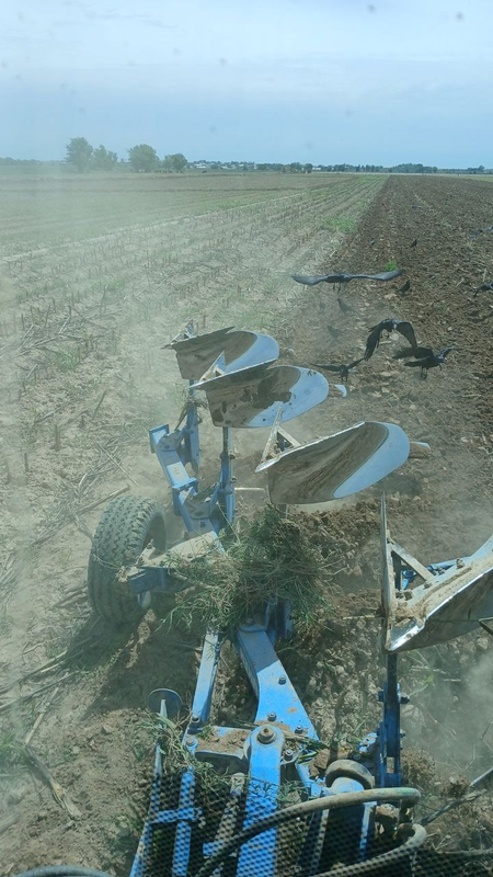 Трактор беларус 1523 Плуг Lemken Europal 5  билан