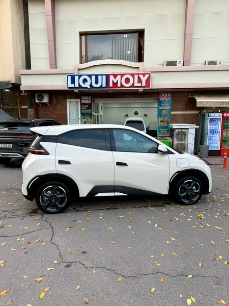 Arenda vikup. BYD seagull. 2023.