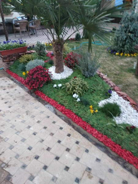 Yevro gazon ekamiz va urugidan sepamiz ishonchli sipatli garantayali