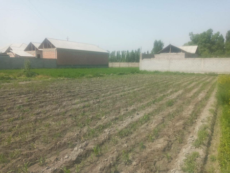 Srochniy sotiladi