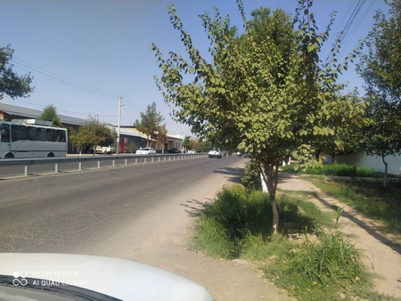 уй Остилади Зангиота Зиёратгохидан утканда