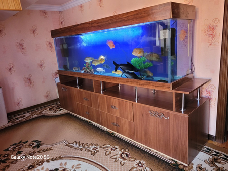 Akvaryum 1tonnalik аквариум 1тонна
