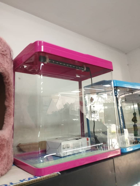 Продаю настольный аквариум
