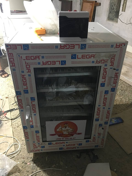 Inkubator 500 talik