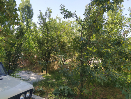Yer uchastka sotiladi