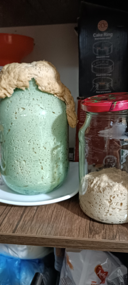 Хлебы из закваски