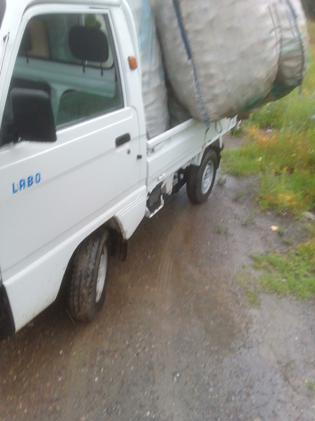 Shinry T50 Gazil Labo