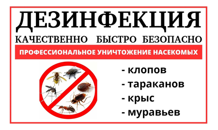 Дезинфекция dezenfeksiya  дезинсекция dezinfeksiya клопов тараканов
