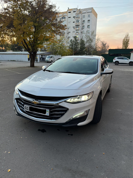 Malibu 2,4 otmasferniy