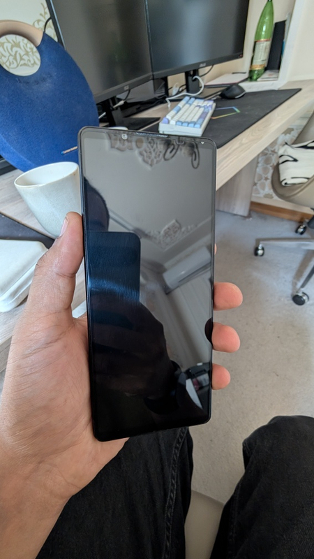 Sony Xperia 1 v 12/256