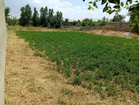 Yer uchastka sotiladi