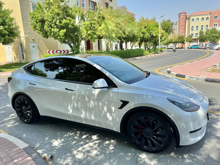 tesla.y radnoy 100%