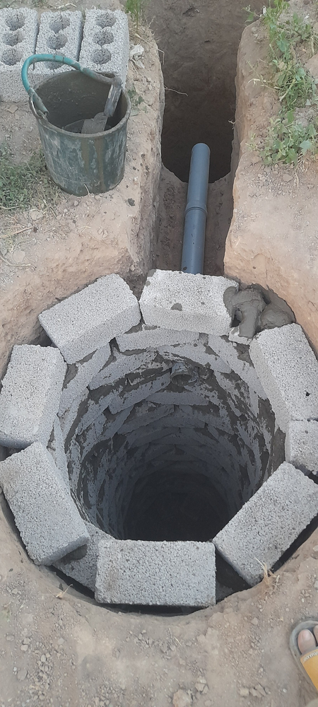 Urachi урачи toshkent buylab
