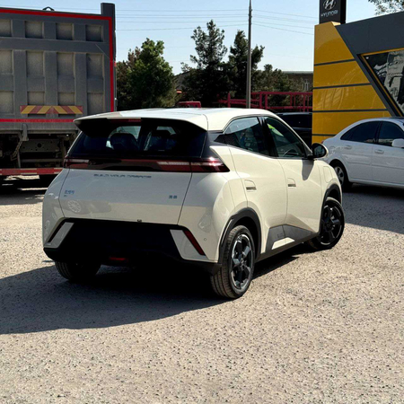 BYD SEAGUL 405 km 2024