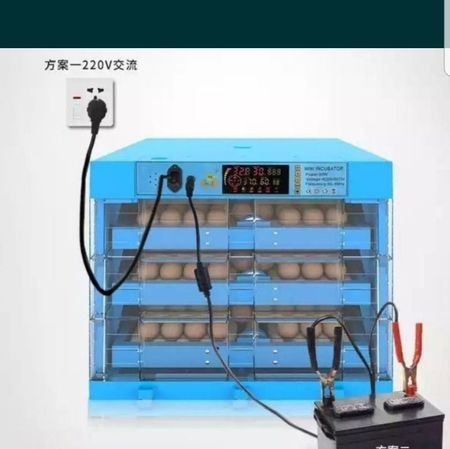 Inkubatorlarni optom narxda