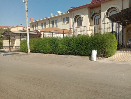 Archva va gullarga shakil beramiz , dorilash xizmati xam bor