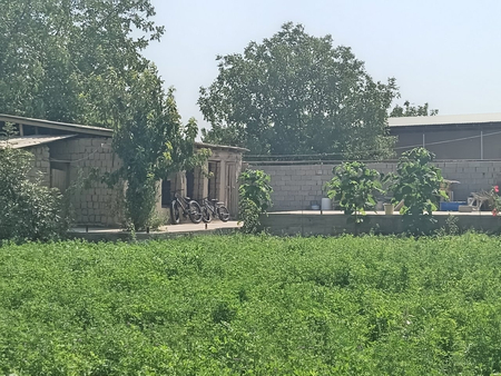 Samarqand vil. Pastdargom tumani. Nayman mahallasida yer sotiladi