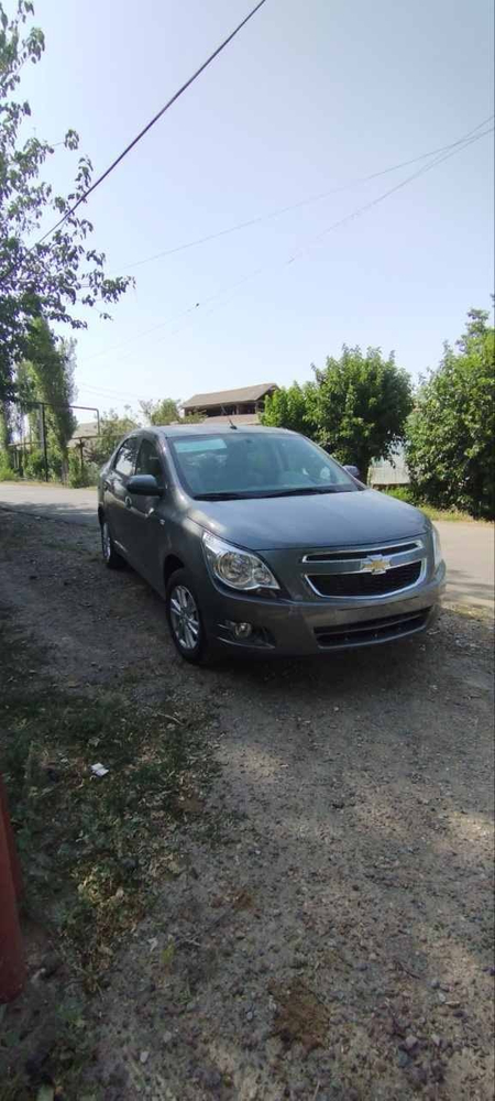 Cobalt 2024 prob.8000