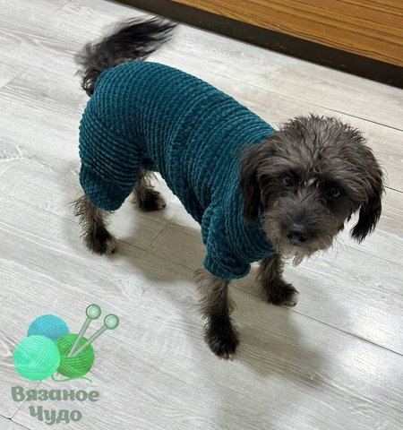 Вязаная одежда для животных.