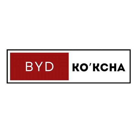 Бар органайзер для Byd Song L от «BYDKO\\\'KCHA»